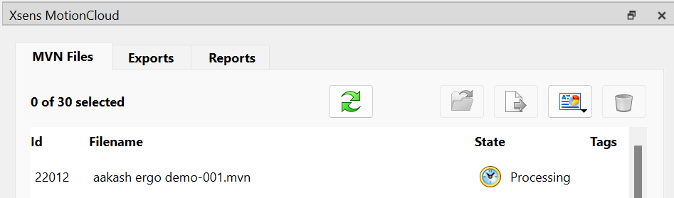 RULA Report - How to generate a report?