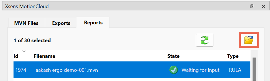 RULA Report - How to generate a report?