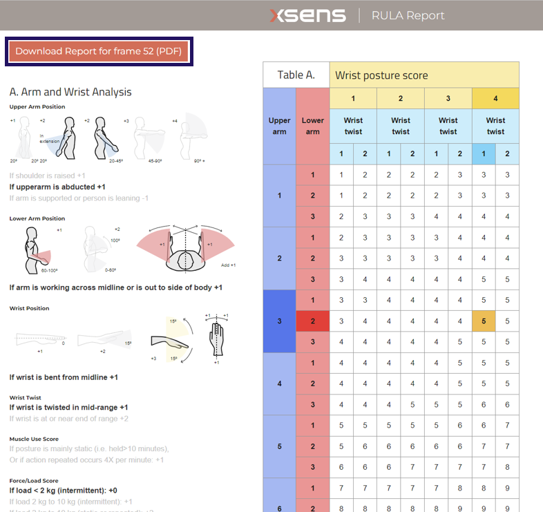 RULA Report - How to generate a report?