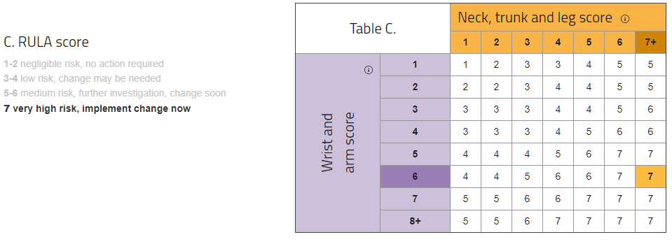 RULA Report - How to interpret the data?