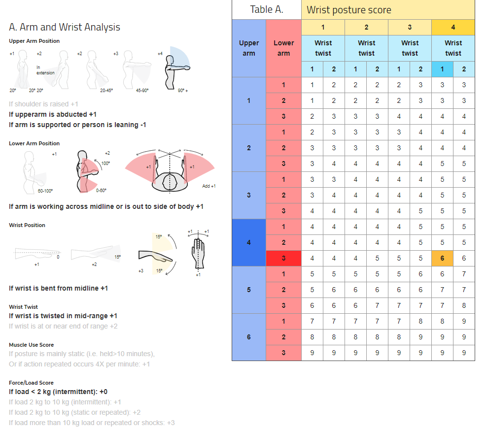 RULA Report - How to interpret the data?