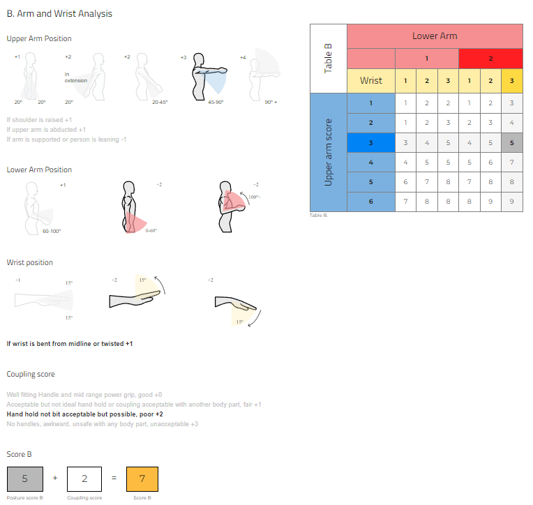 REBA Report - How to interpret the data?