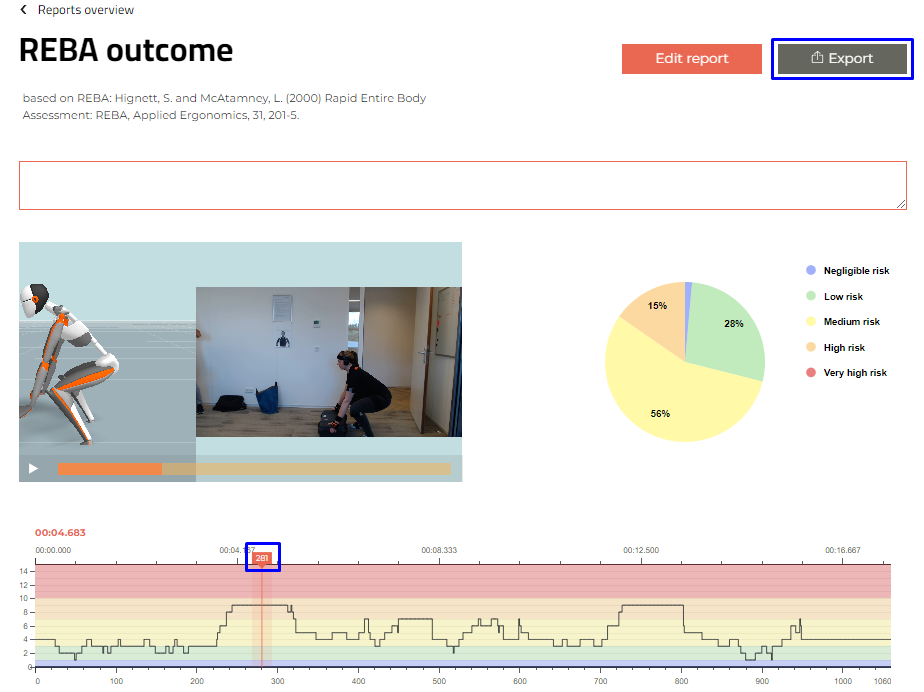 REBA Report - How to generate a report?