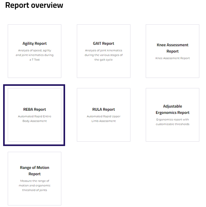 REBA Report - How to generate a report?
