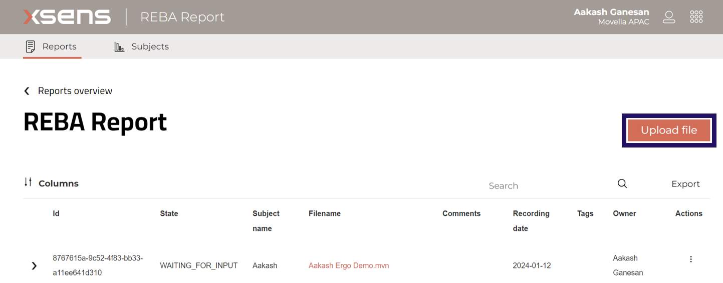 REBA Report - How to generate a report?