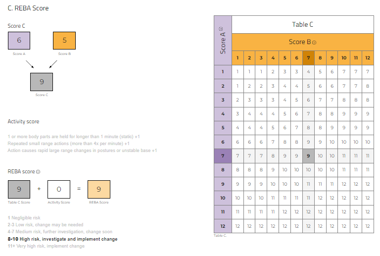 REBA Report - How to interpret the data?