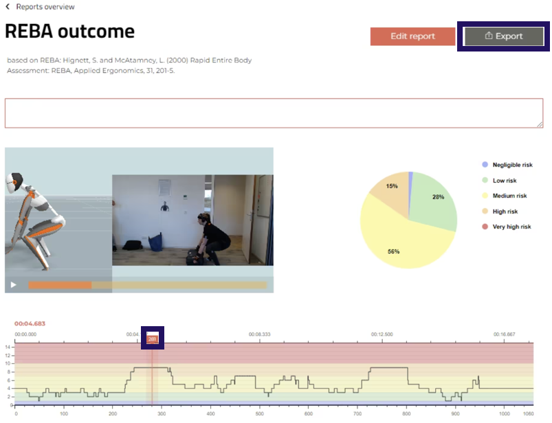 REBA Report - How to interpret the data?
